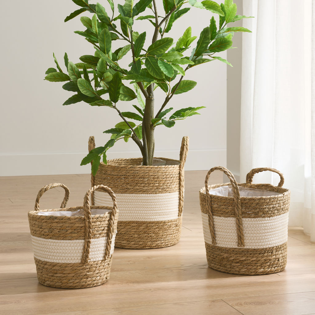 Mambo ens. de 3 cache-pots Brunelli | Tanguay