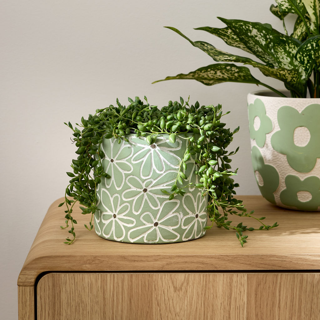 Cache-pot vert 6 x 5 po Collection privée | Tanguay