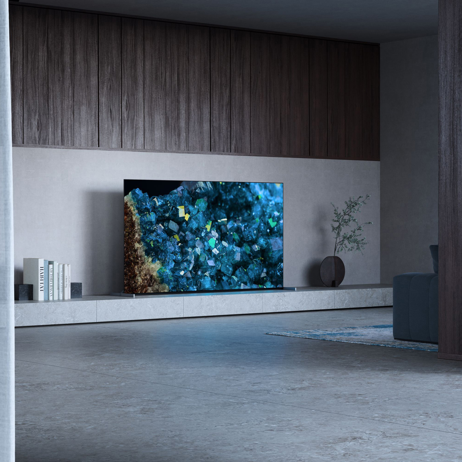 Téléviseur OLED 4K écran 55 po - Démonstrateur Sony XR55A80L | Tanguay