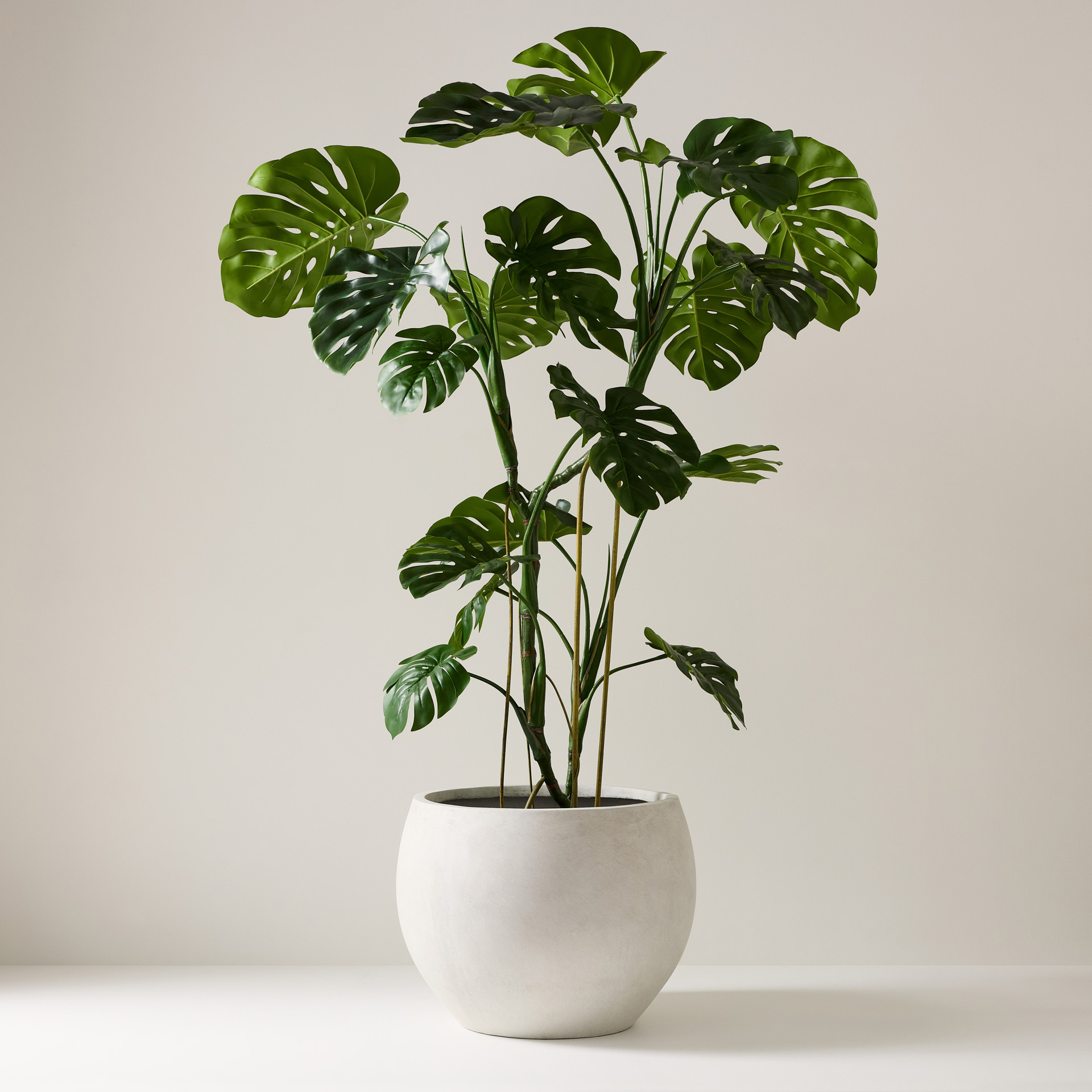 Plante artificielle - Monstera 70 po Collection privée | Tanguay