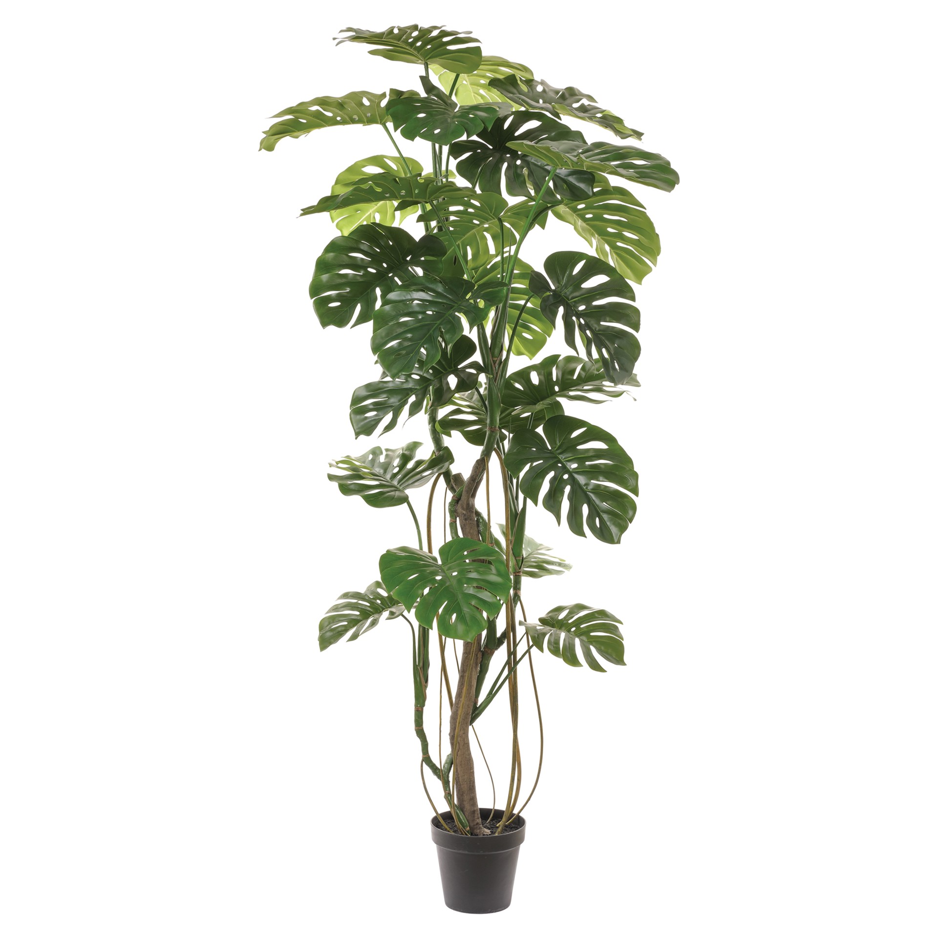 Plante artificielle - Monstera 82 po Collection privée | Tanguay
