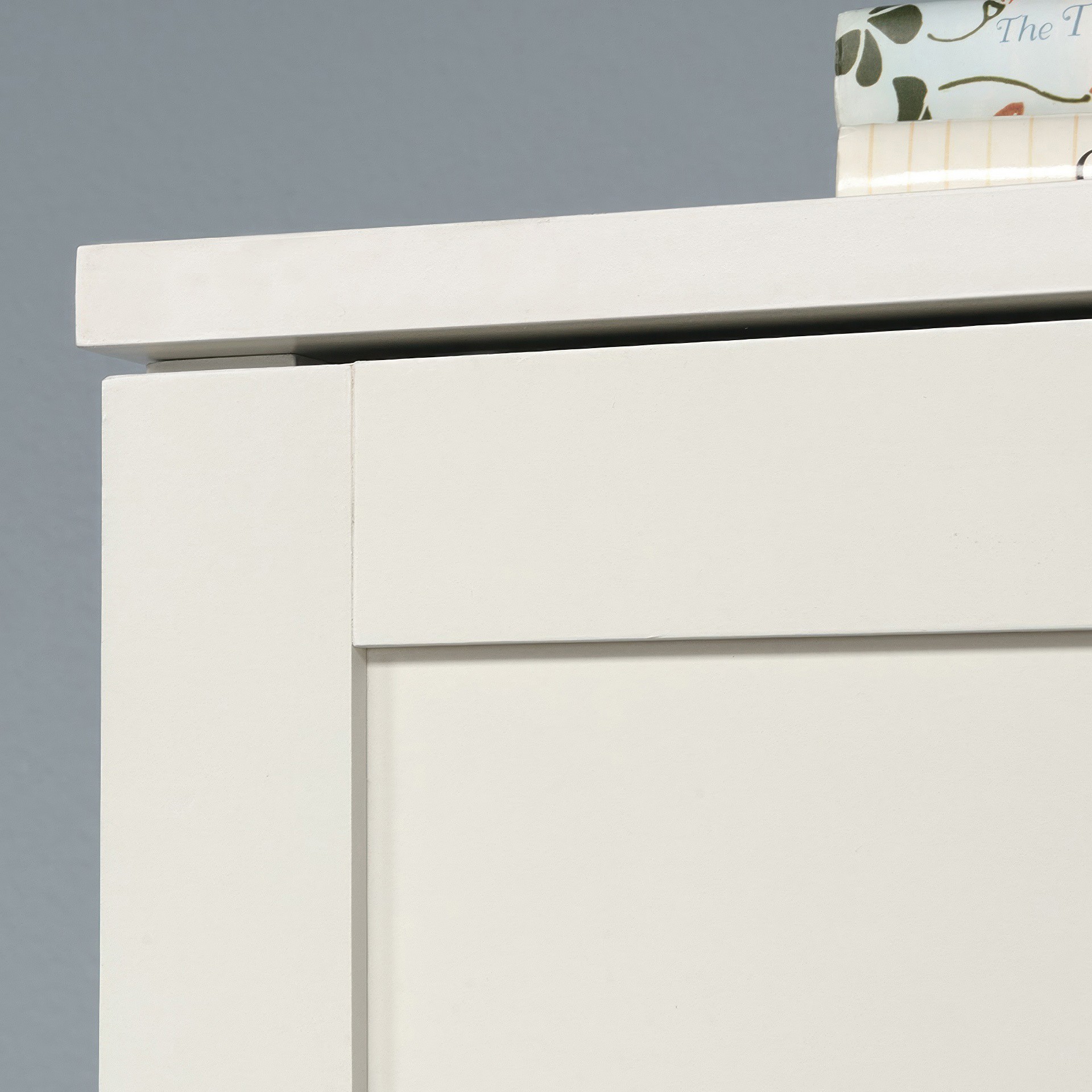 Armoire de rangement HomePlus Sauder 424001 | Tanguay